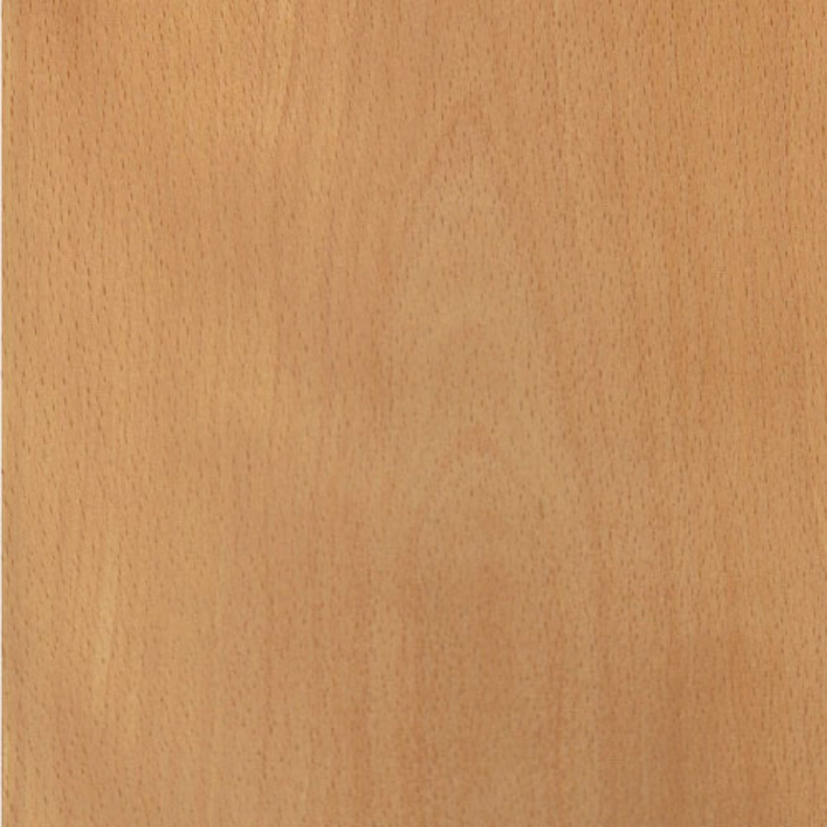 Artnovion Alps Diffuser - Fagus Wood [PRE-ORDER] - AV One