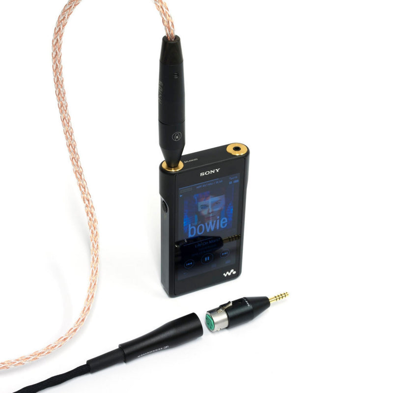 Woo Audio TUBE mini Balanced Headphone Amplifier / DAC - AV One